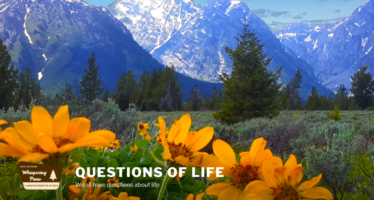 Questions of life - We all have questions about life